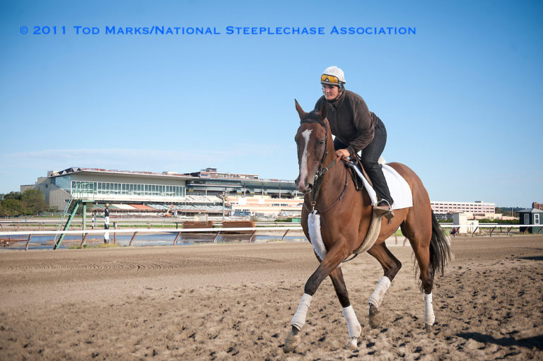 Sixty-three races, $1.9 million in purses up for grabs in NSA fall ...