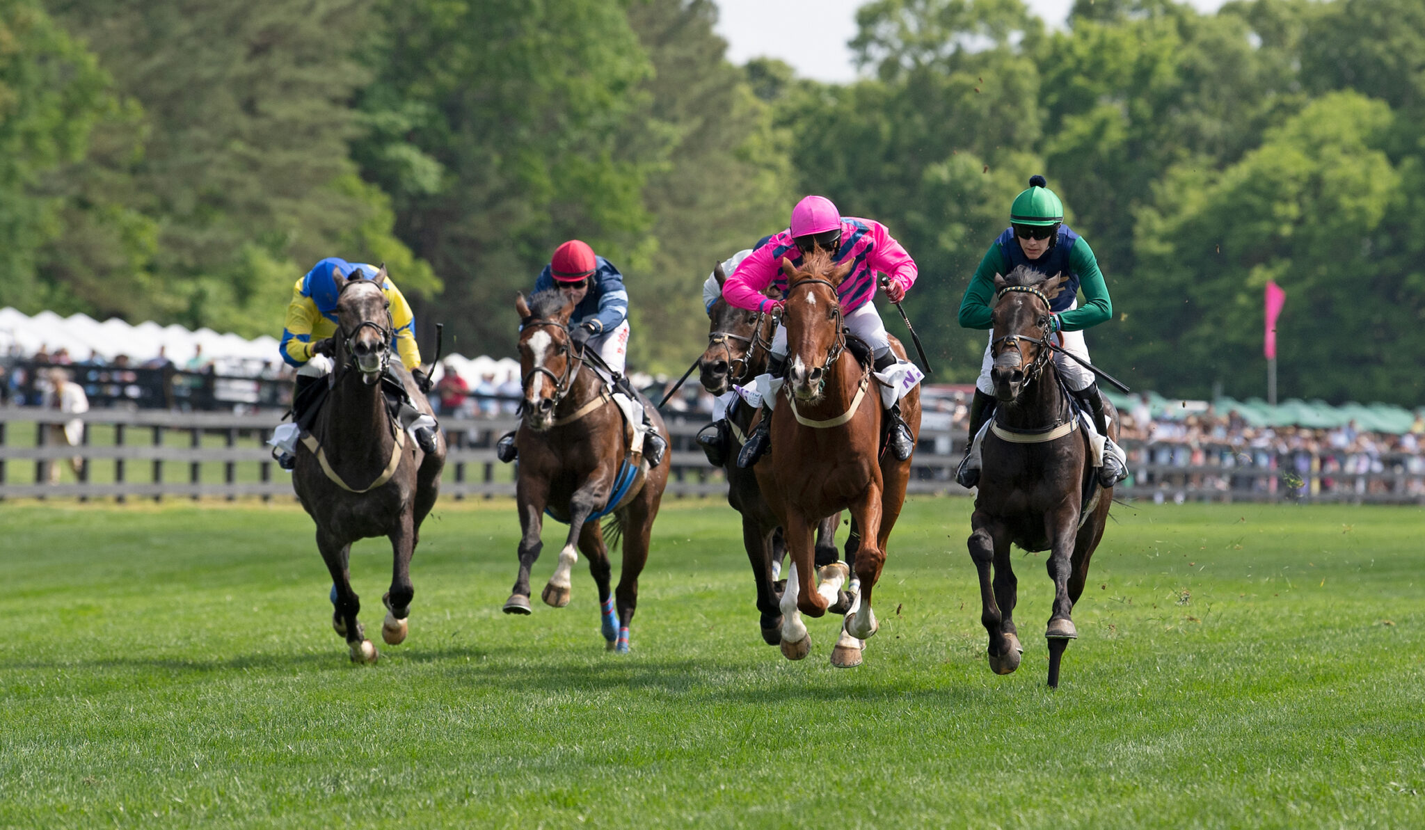 Hunt Cup, Queen’s Cup, and Foxfield mark busy Saturday - National ...