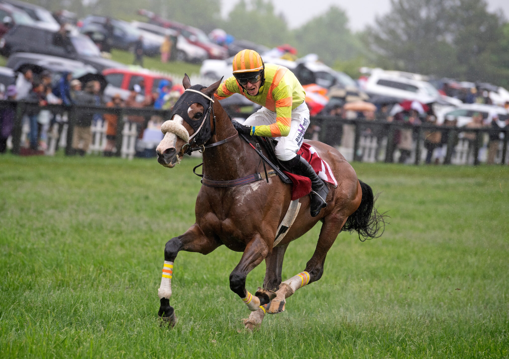 Virginia Gold Cup, Winterthur preview - National Steeplechase Association