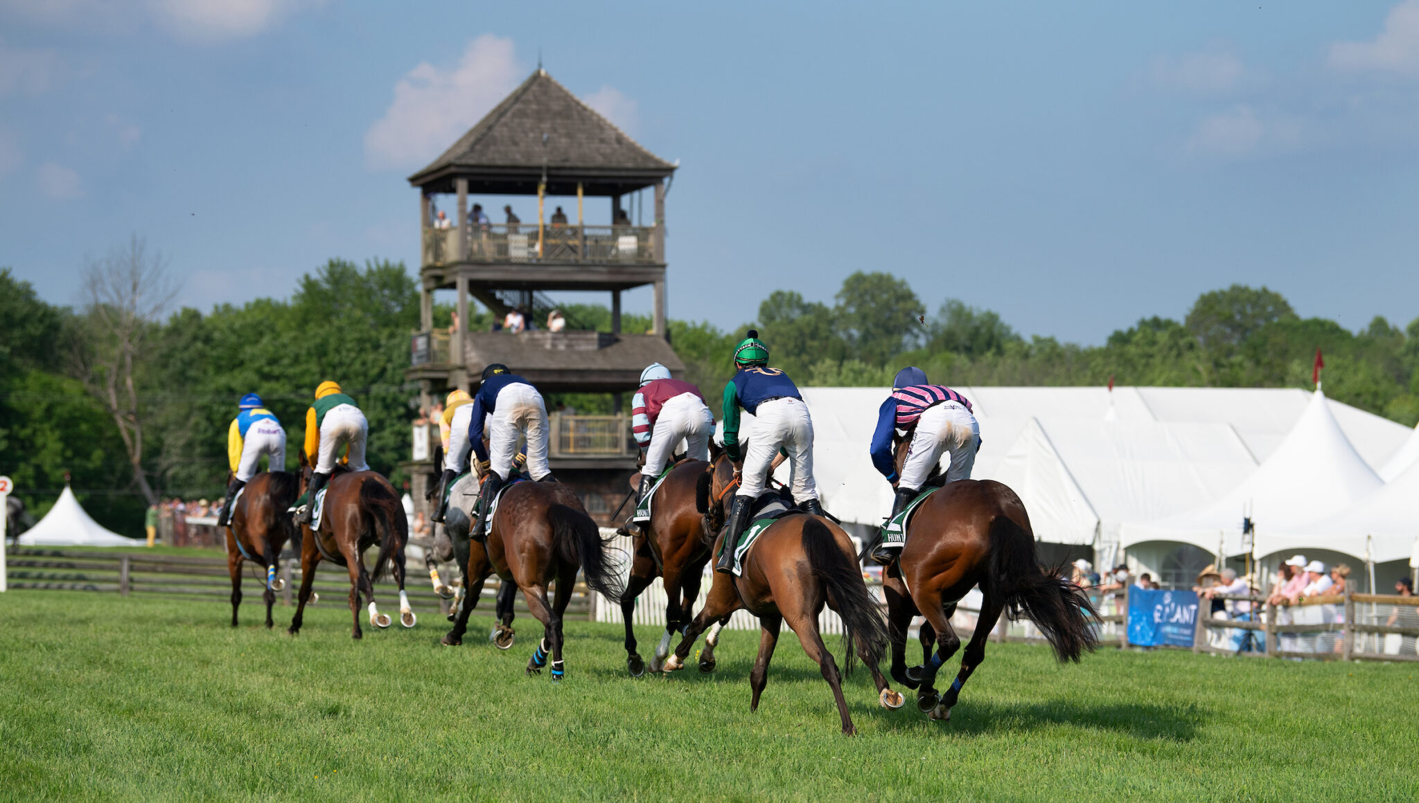 Radnor preview - National Steeplechase Association