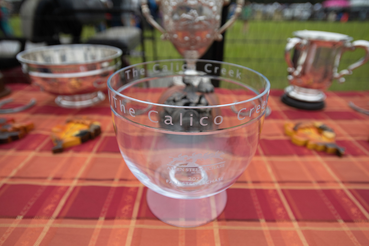 NEWS - National Steeplechase Association