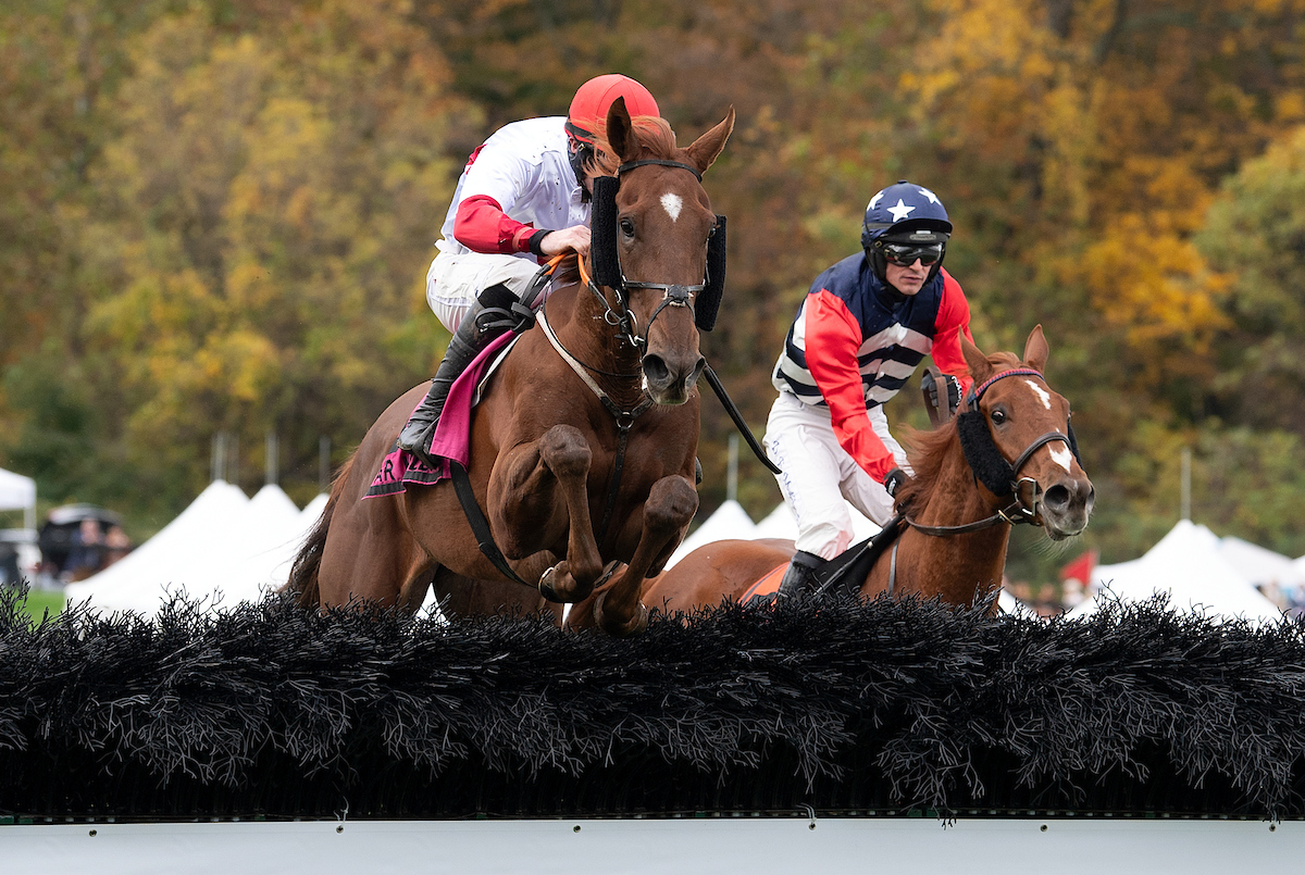NEWS - National Steeplechase Association