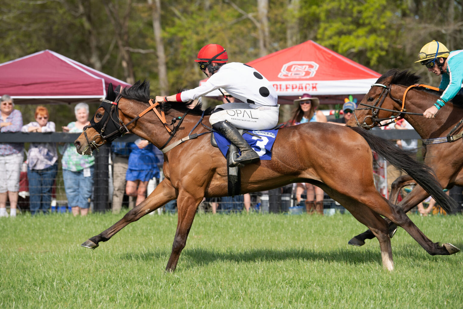 Aiken Kicks off NSA Season - National Steeplechase Association