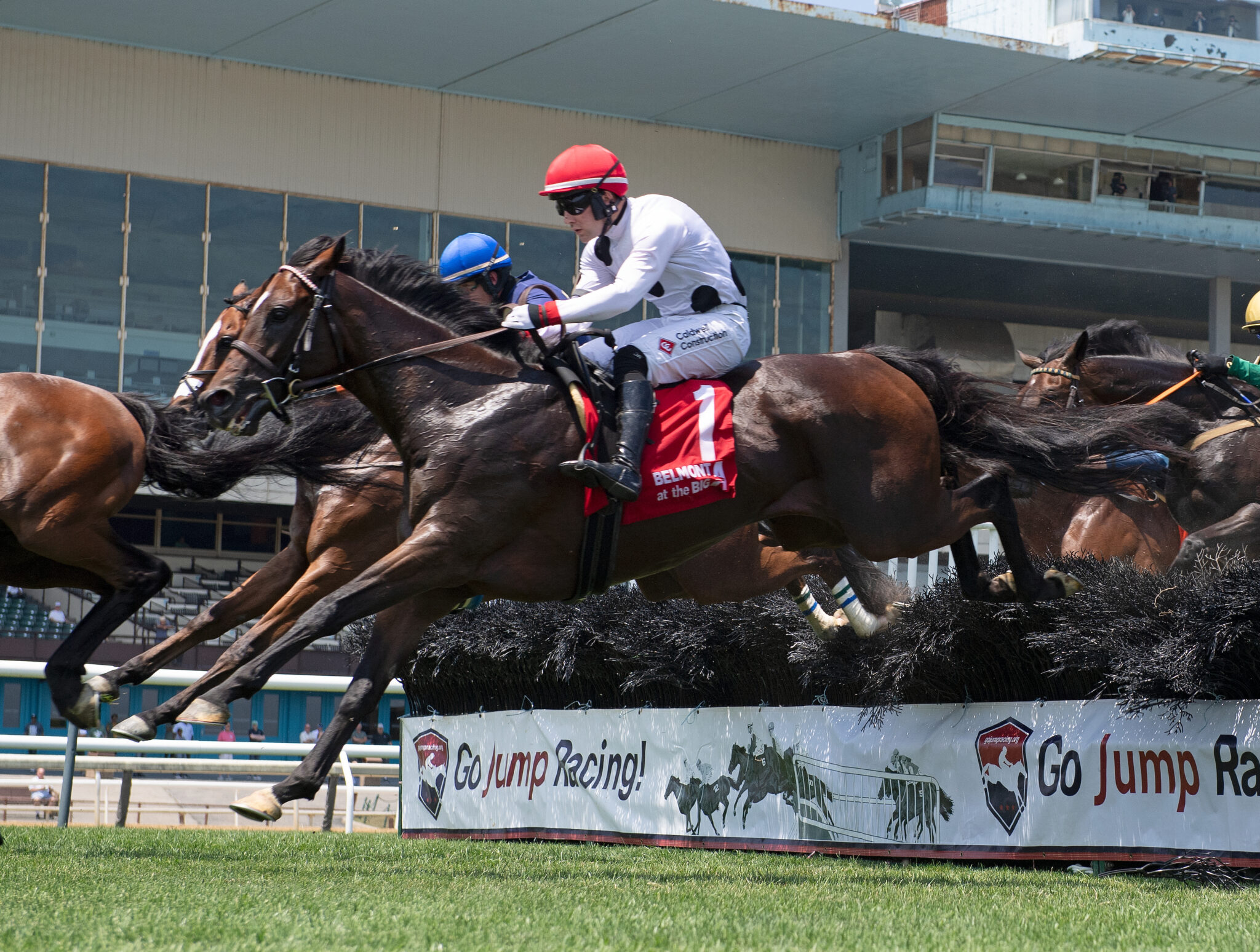 Beverly R. Steinman recap - National Steeplechase Association