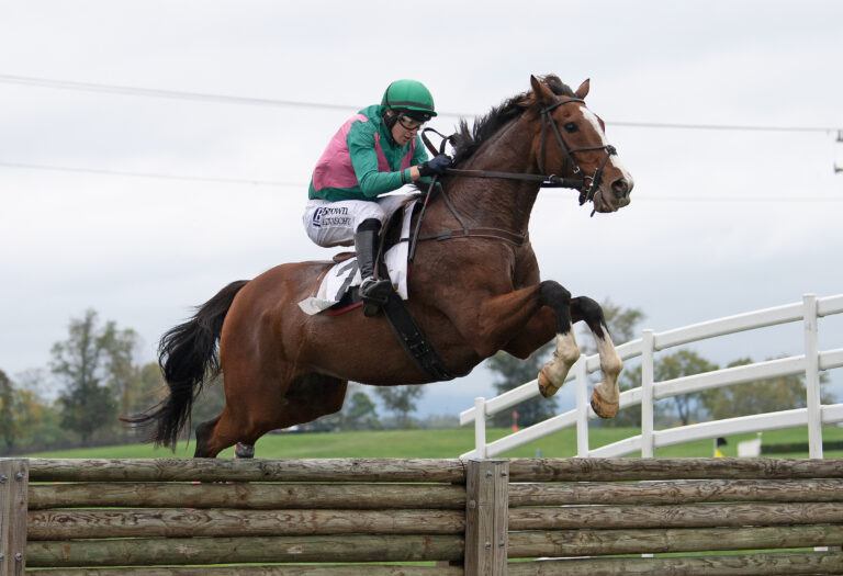 NEWS - National Steeplechase Association