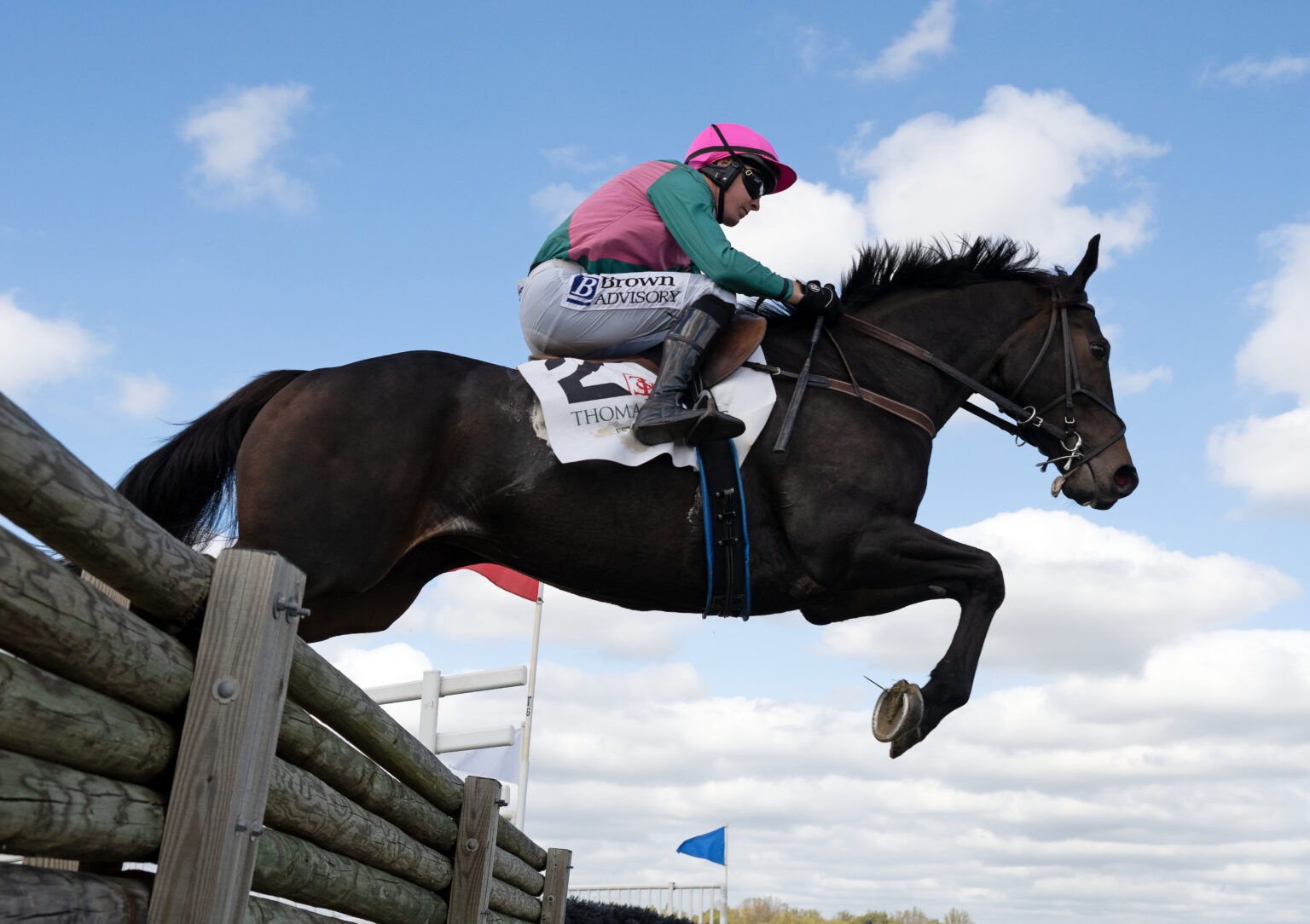 NEWS - National Steeplechase Association
